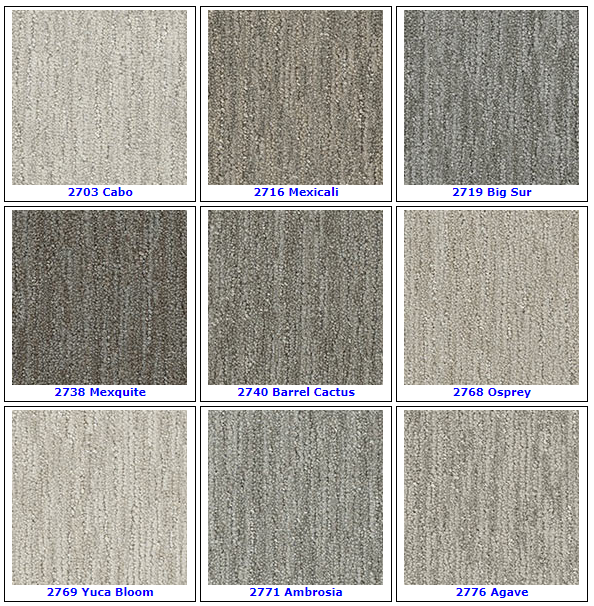 Textured Loop Carpet - Dreamweaver Select - Great Deal @ $4.49/SF – The ...